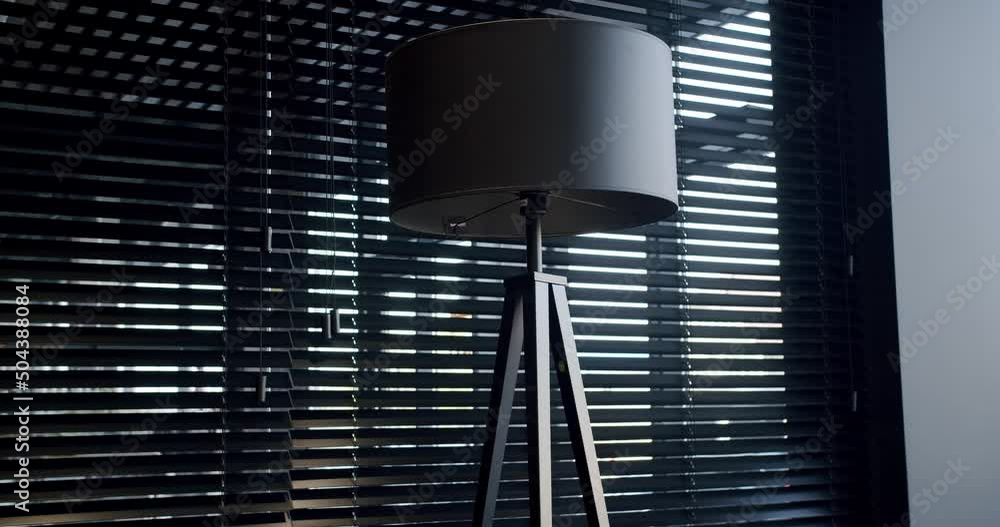 Modern black lamp inside. Black minimalist circular floor lamp next to ...
