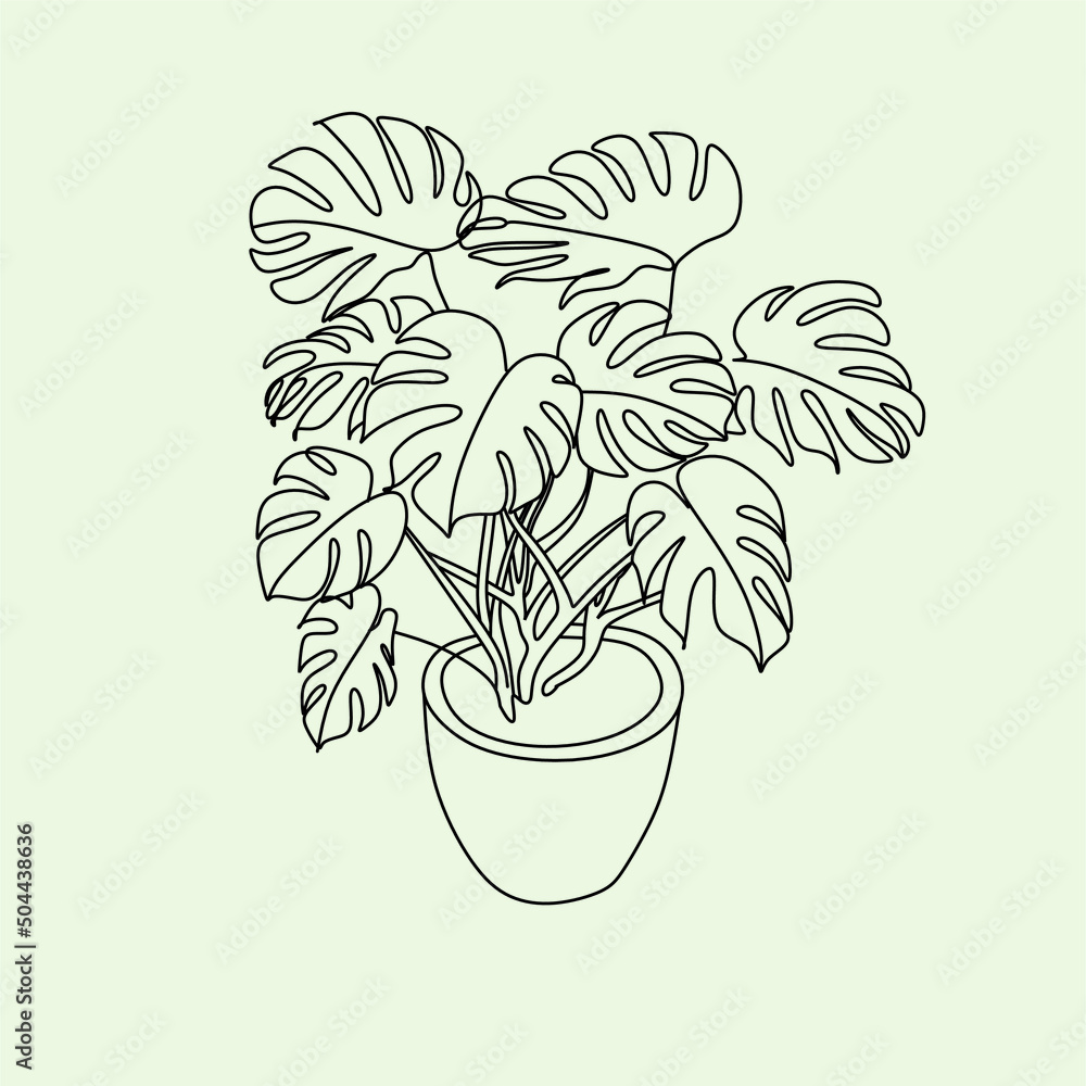 Monstera Line Drawing. Home Plant Line art vector. Minimalist nature ...