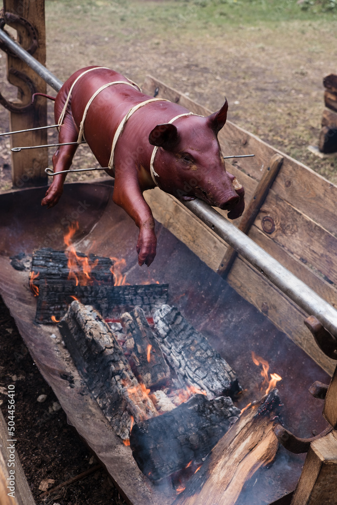 Piglet on grill, roasting pork. Cooking a whole small pig on fire ...