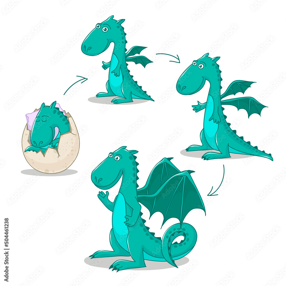 stages of growing up of a cute dragon on a white background Stock ...