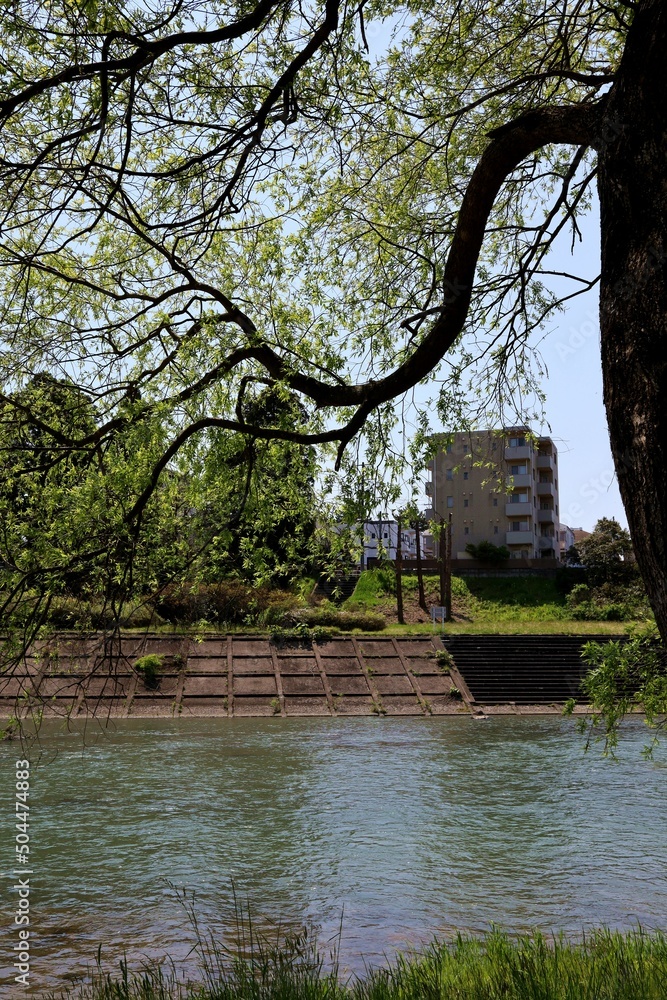 Tsunogoro, Sendai City,.Nature around Yodomi Bridge and Hirose River ...