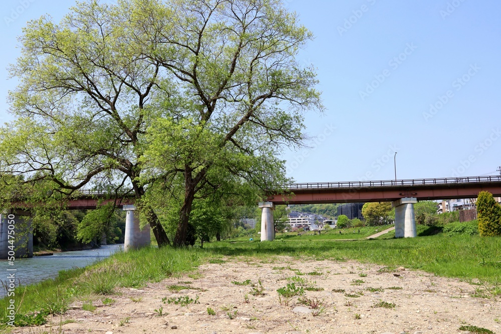 Tsunogoro, Sendai City,.Nature around Yodomi Bridge and Hirose River ...