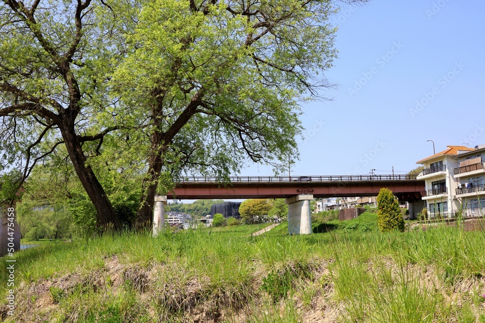 Tsunogoro, Sendai City,.Nature around Yodomi Bridge and Hirose River ...