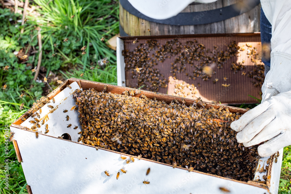 Nuke Frame Stock Photo | Adobe Stock