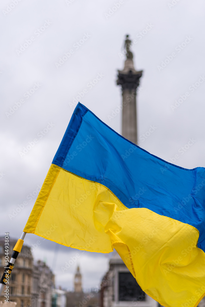 Ukraine flag in a square Stock Photo | Adobe Stock