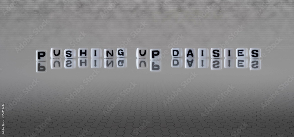 pushing up daisies word or concept represented by black and white ...