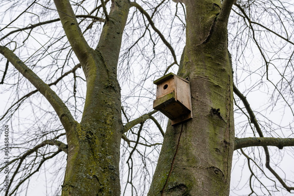 Bird box also called a nesting box on a tree in a public park to aid ...