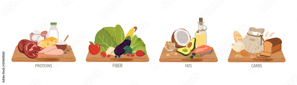 Set of macronutrients categories. Fiber, cellulose, proteins, fats and ...