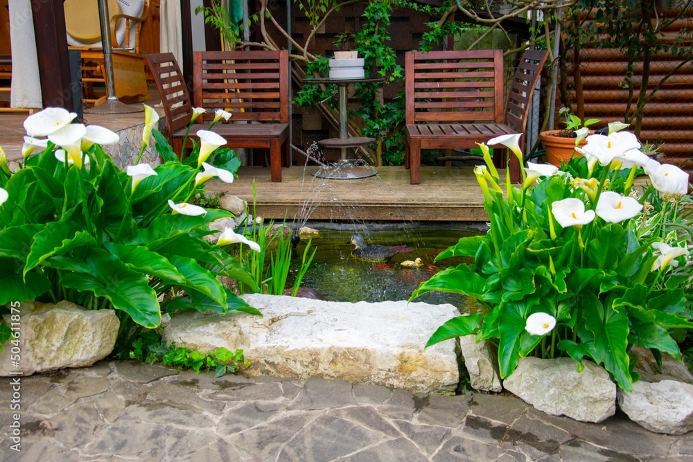 Decorating a small garden artificial pond with goldfish. Plants and ...