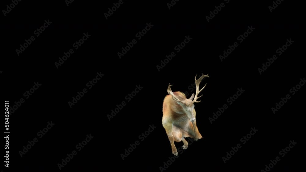 Deer Dancing CG fur 3d rendering animal realistic CGI VFX Animation ...