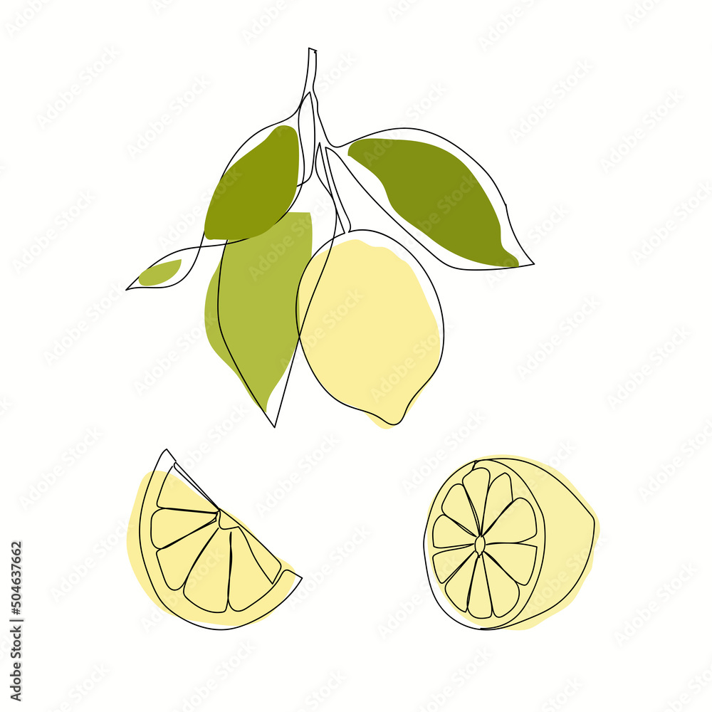 Lemon. Hand drawn. One line drawing. Vector. Lemon branch with leaves. Stock Vector | Adobe Stock