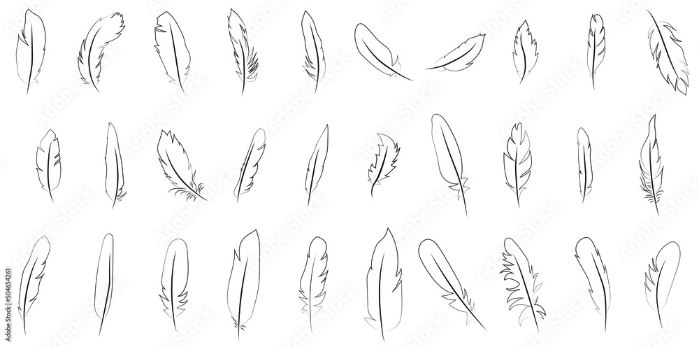 30 Springs | Federn Lineart Konturen Zeichnungen Grafik Paket ...