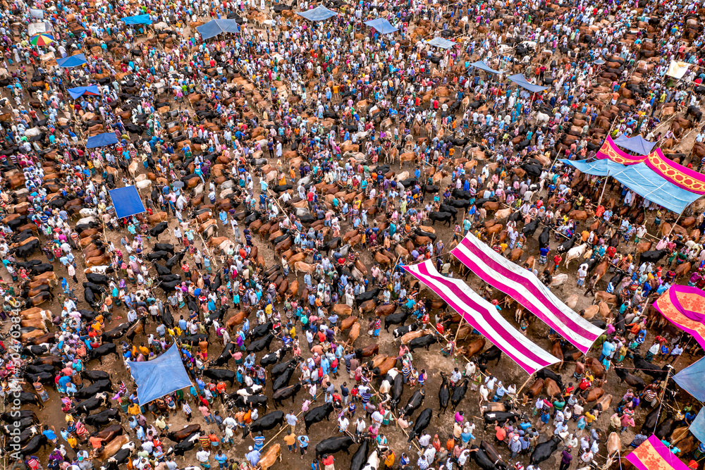 Thousands of cows are lined up to be sold at a bustling cattle market ...