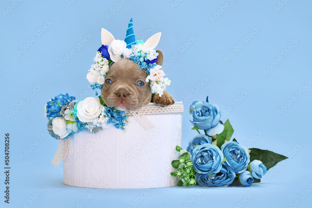Isabelle French Bulldog dog puppy with unicorn headband with horn ...