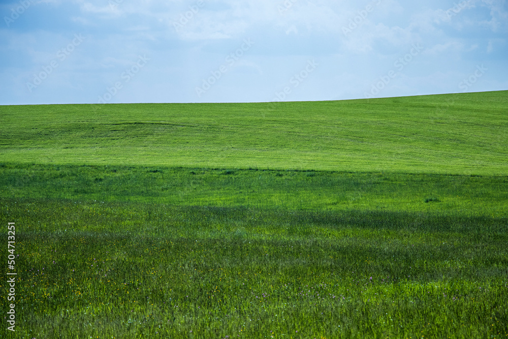Fotografía Windows bliss background, sloping hilly green field, TamasJ ...