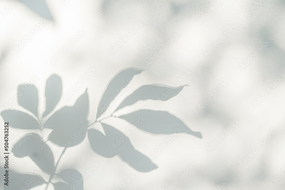 Leaf shadow and light on wall blur background. Nature tropical leaves ...