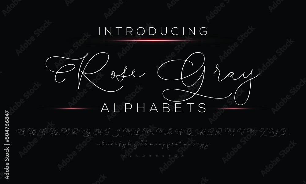Signature Font Rose Gray Monoline Logotype Script Brush Font Type Font ...