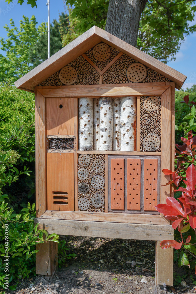 Bug hotel. Purpose built object for insects and bugs to shelter and lay ...