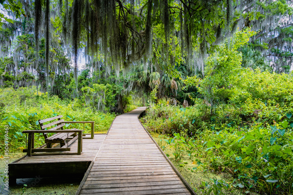 Trimble Park a lakeside park with trails and boardwalk in Mount Dora ...