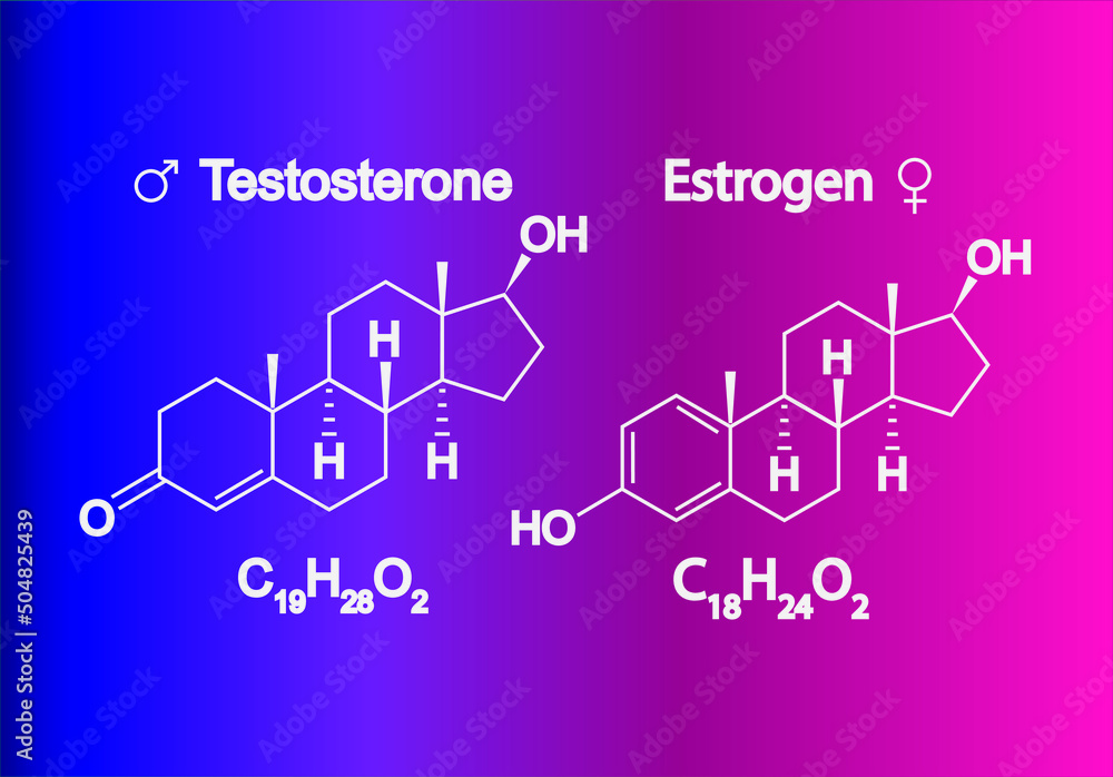 Humain Sex Hormones Molecular Formula Estrogen And Testosterone