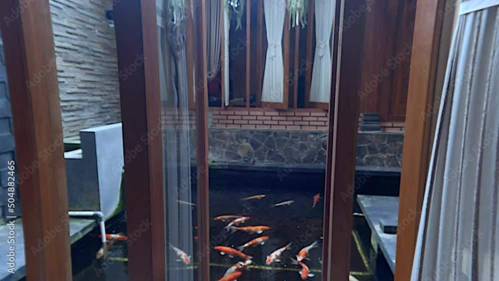 Koi fish pond design view from inside house wooden window. Camera ...