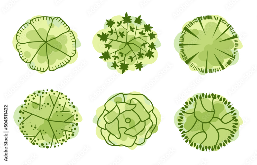 Trees top view. Entourage design. Various trees, bushes, and shrubs ...