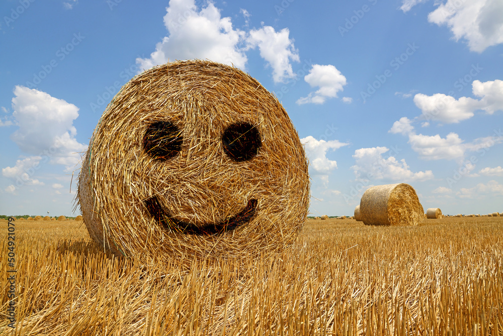 Smiley face on roll of straw. Crop wheat rolls of straw in a field ...