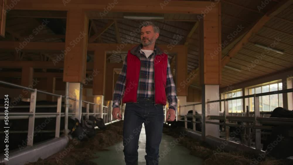 Adult owner of farm walking along farmhouse, looking around. Successful ...