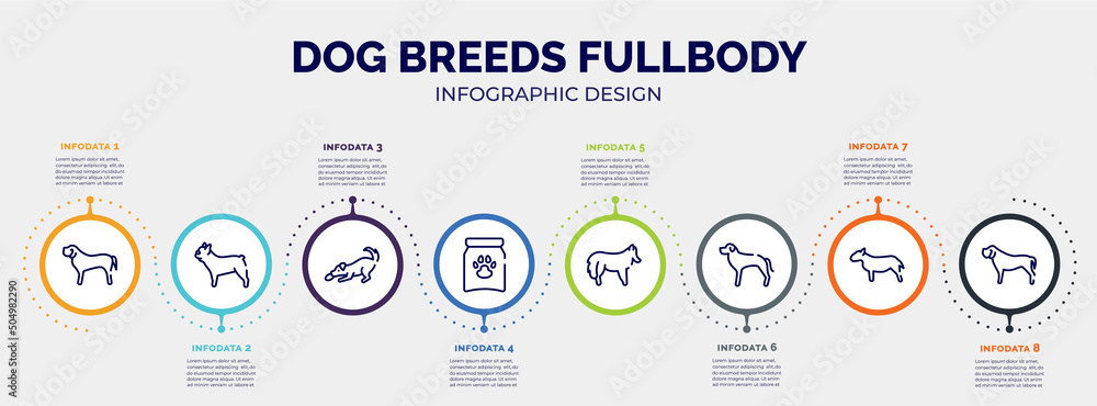 infographic for dog breeds fullbody concept. vector infographic ...