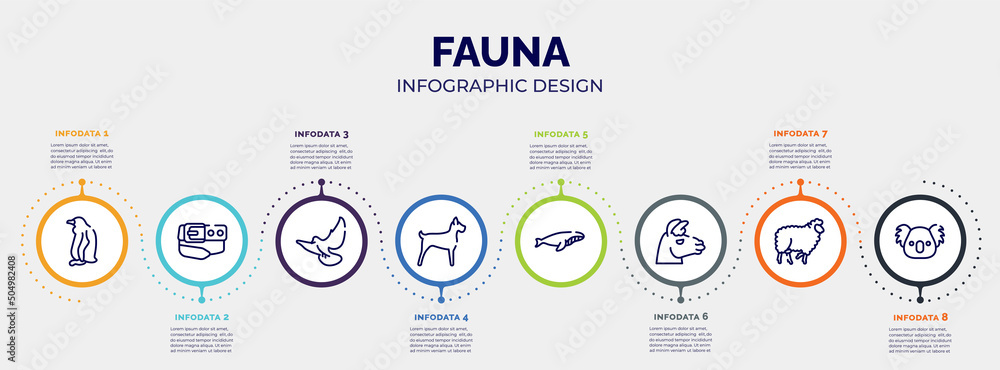 infographic for fauna concept. vector infographic template with icons ...