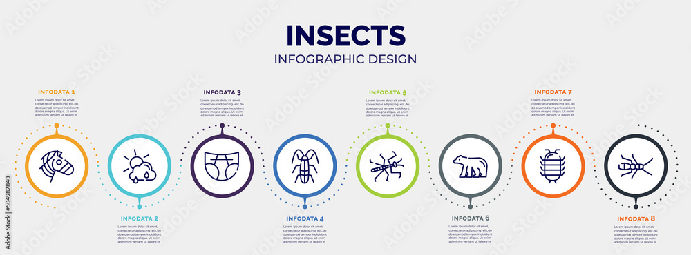 infographic for insects concept. vector infographic template with icons ...