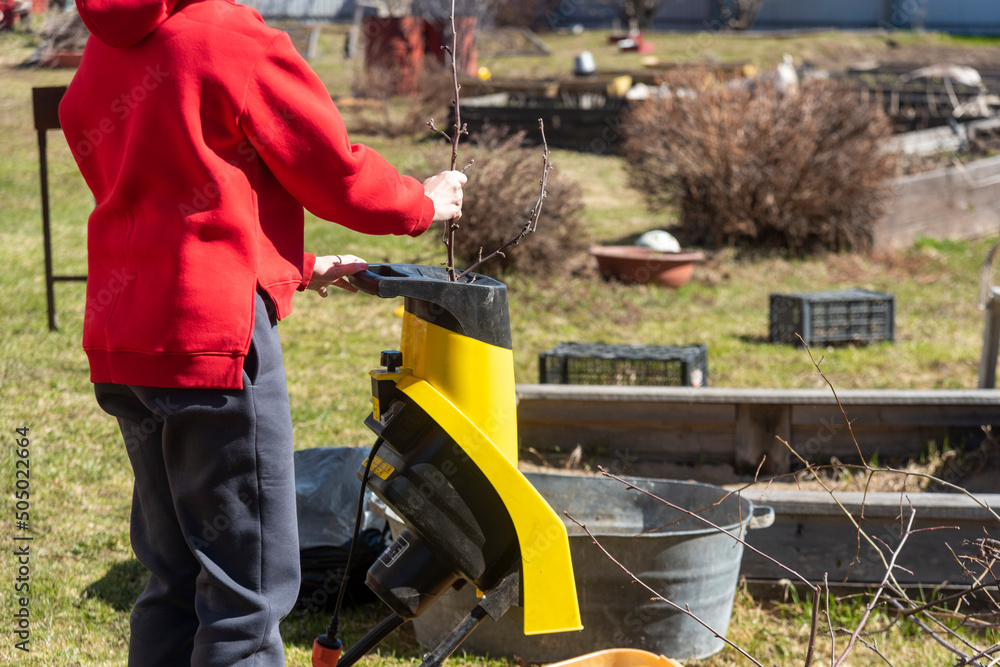 a woman in a red hoodie throws branches into a garden chopper or wood ...