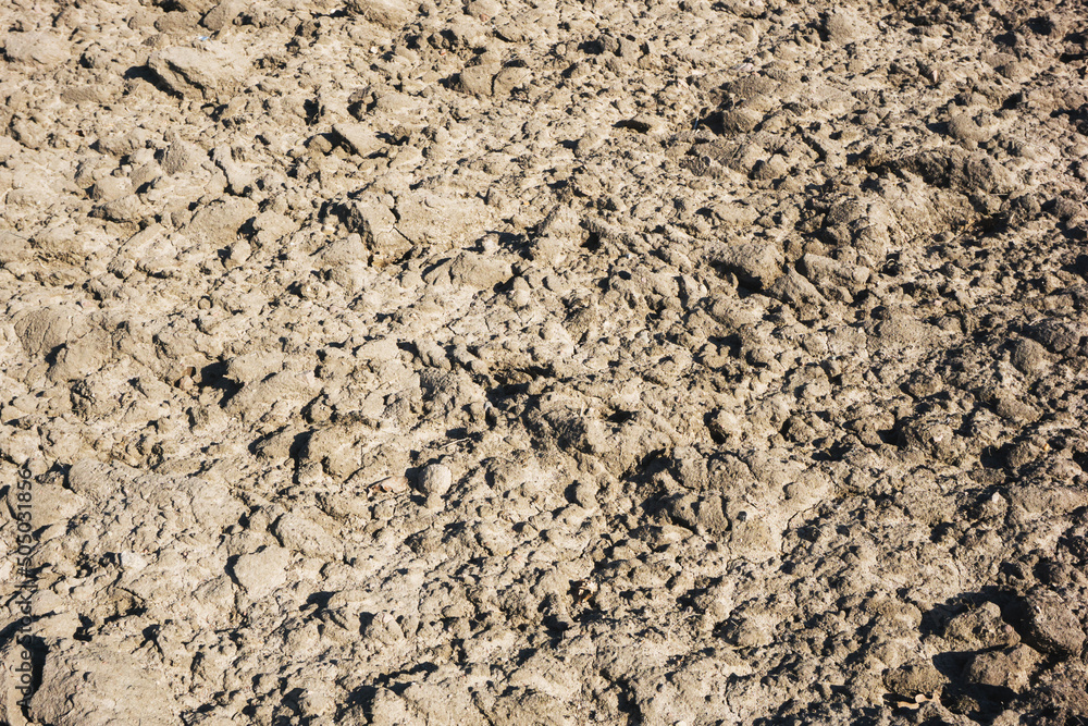 Agriculture background. Harvesting field texture. Sand on the groung ...