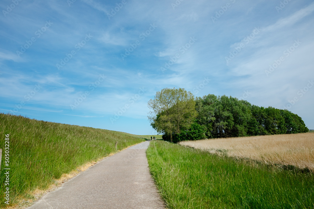 Cycle path along the North Sea beach. dike with green grass. dyke in ...