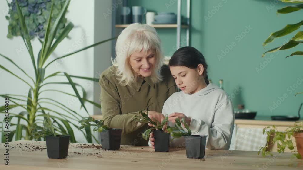 Granny and Granddaughter Taking Care of Plants,Transplants Home Plants ...