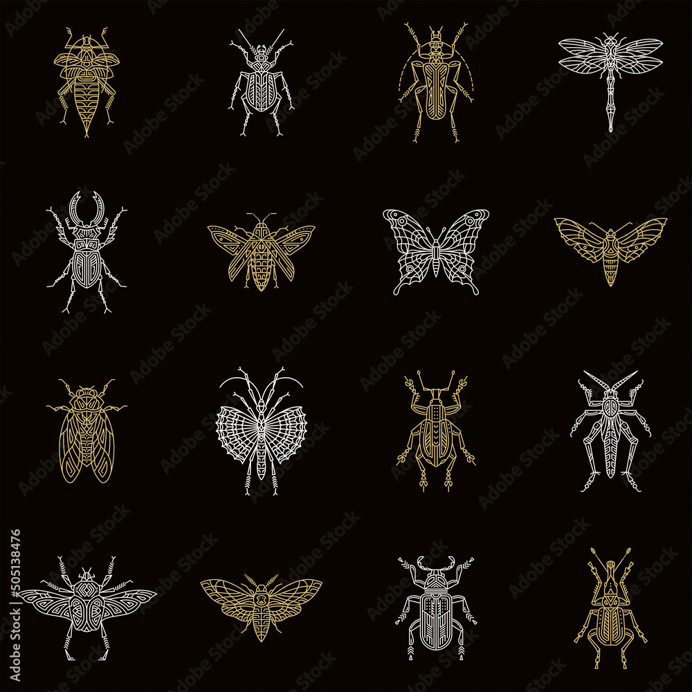 Seamless pattern with insect outline symbols. Spiritual geometric icons ...