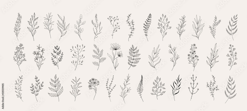Floral branch and minimalist flowers for logo or tattoo. Hand drawn ...