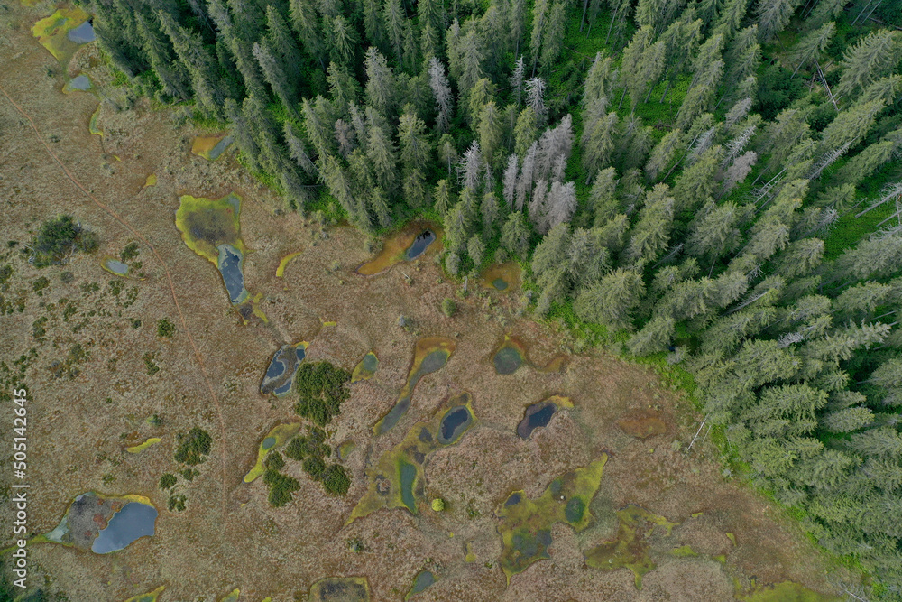 Aerial view of active peat bogs, Molhasurile de la Izbuce in Apuseni ...
