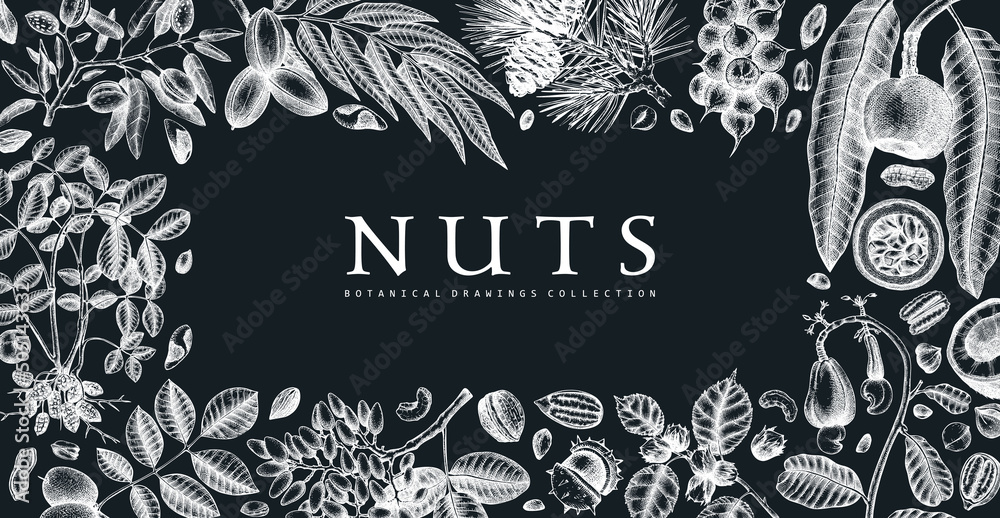 Hand drawn nuts banner on checkboard. Vegetarian product background ...