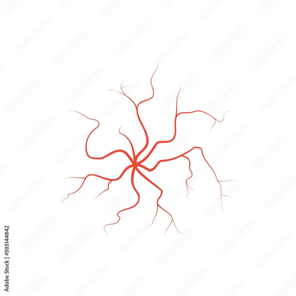 Human red eye veins, anatomy blood vessel arteries illustration. Vector ...