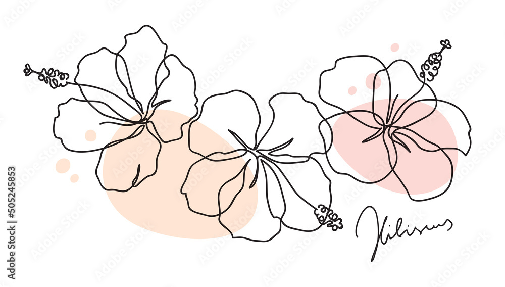 Beautiful hibiscus flower. Line art concept design. Continuous line ...