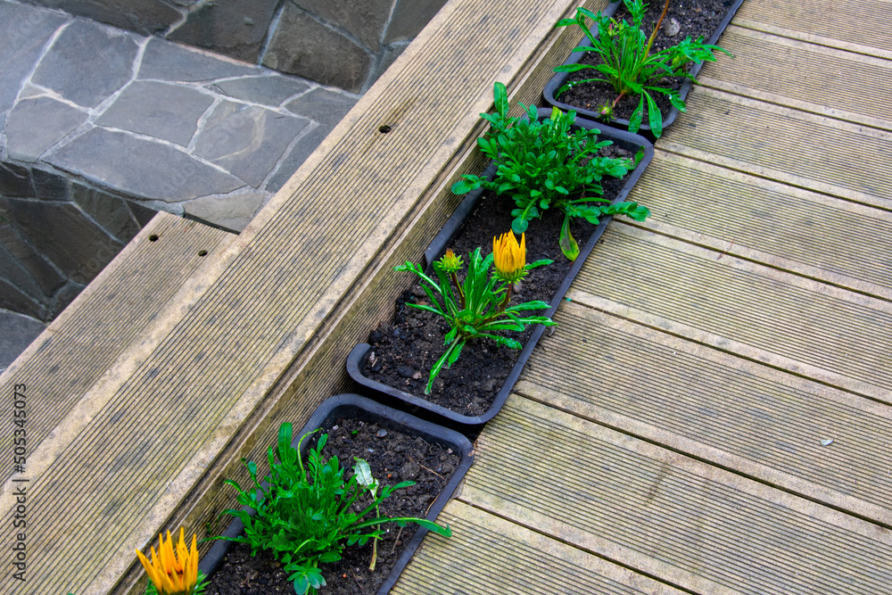 Gardening and decoration of the house plot. Flower bed from plastic ...