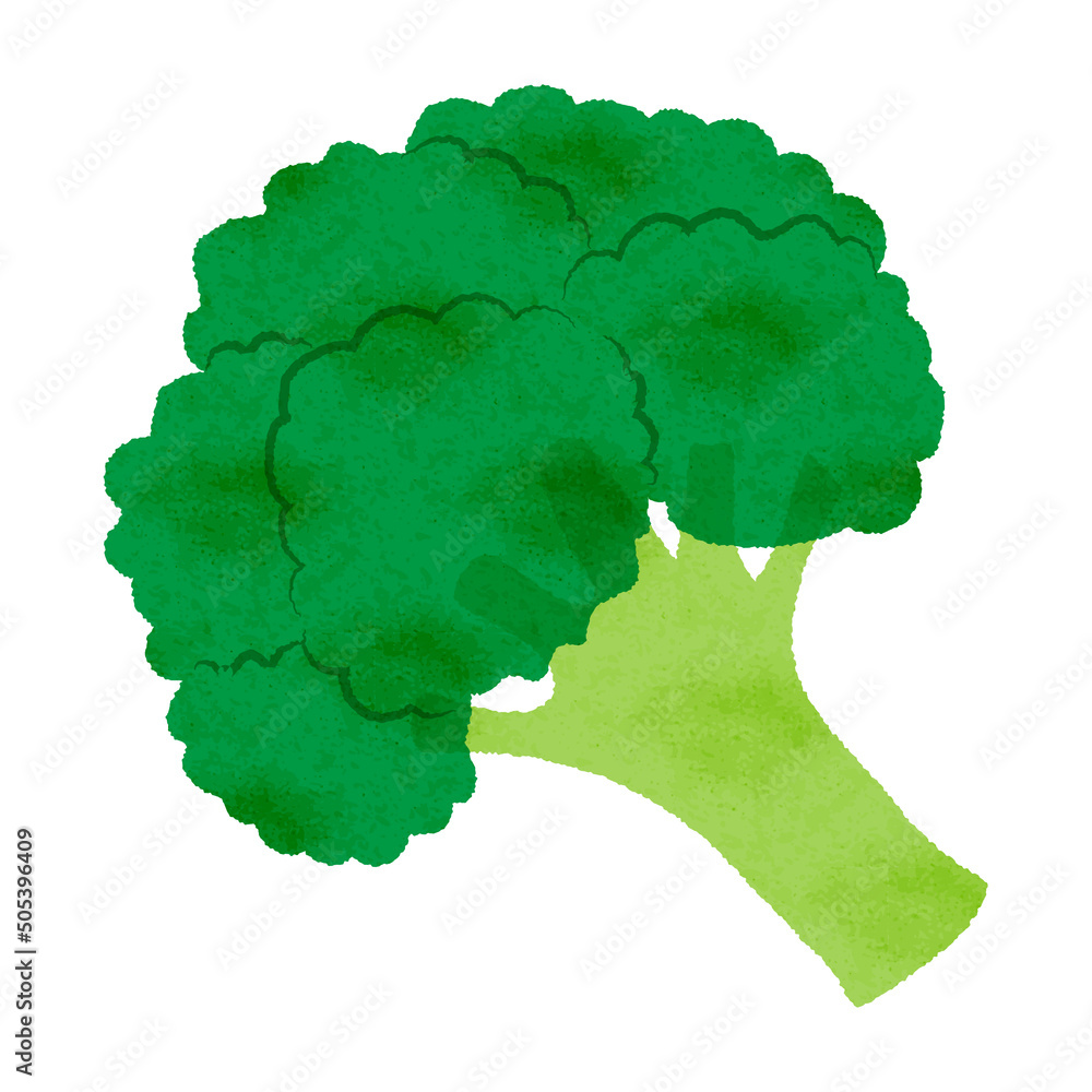 アナログ風のブロッコリーのイラスト Stock Vector | Adobe Stock