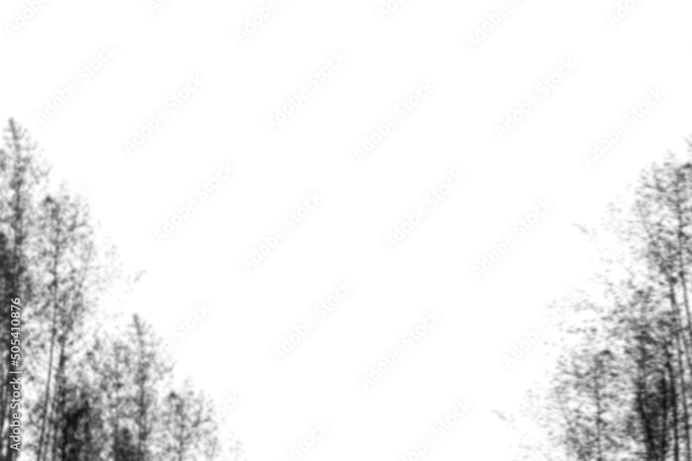 Bare branches, trees overlays, dry branches, branch Photoshop overlay ...