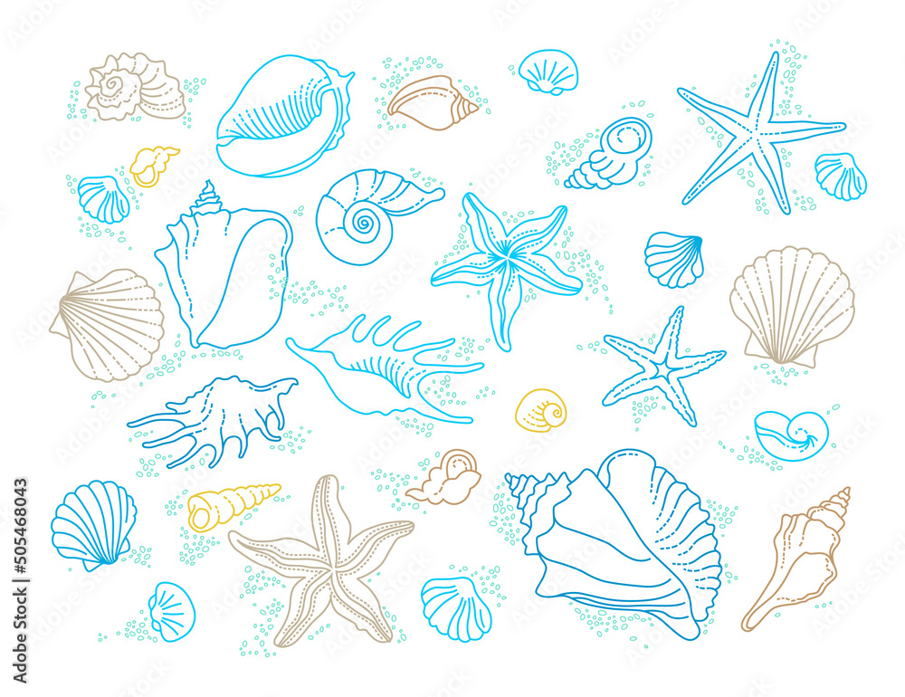 Vector set of illustration line art tropical sea elements, seashells ...