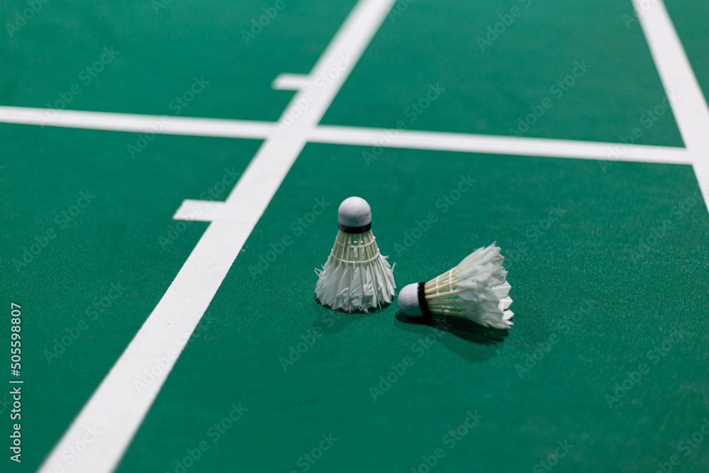 The badminton ball sits on the badminton racket. The field used in the ...