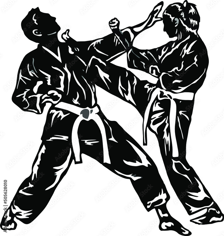 Karate kick and poses of karate techniques. Martial arts. This vector ...