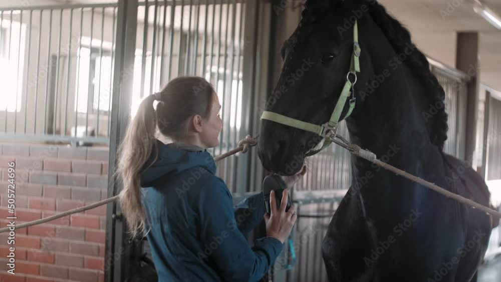 Woman rider taking care of a black horse and brushing it in the stable ...