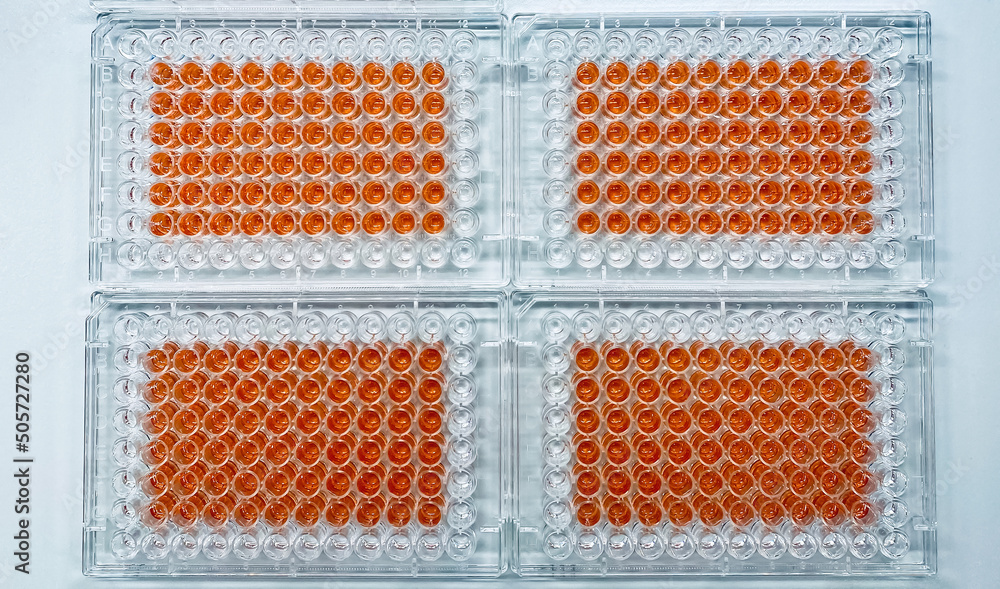 Four 96-well plates with human cancer cells subjected to a gradient of ...