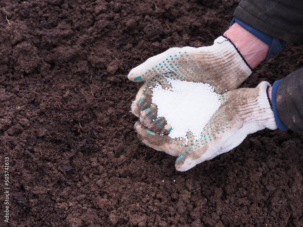 Potassium nitrogen fertilizers in hands of farmer. Top view for control ...